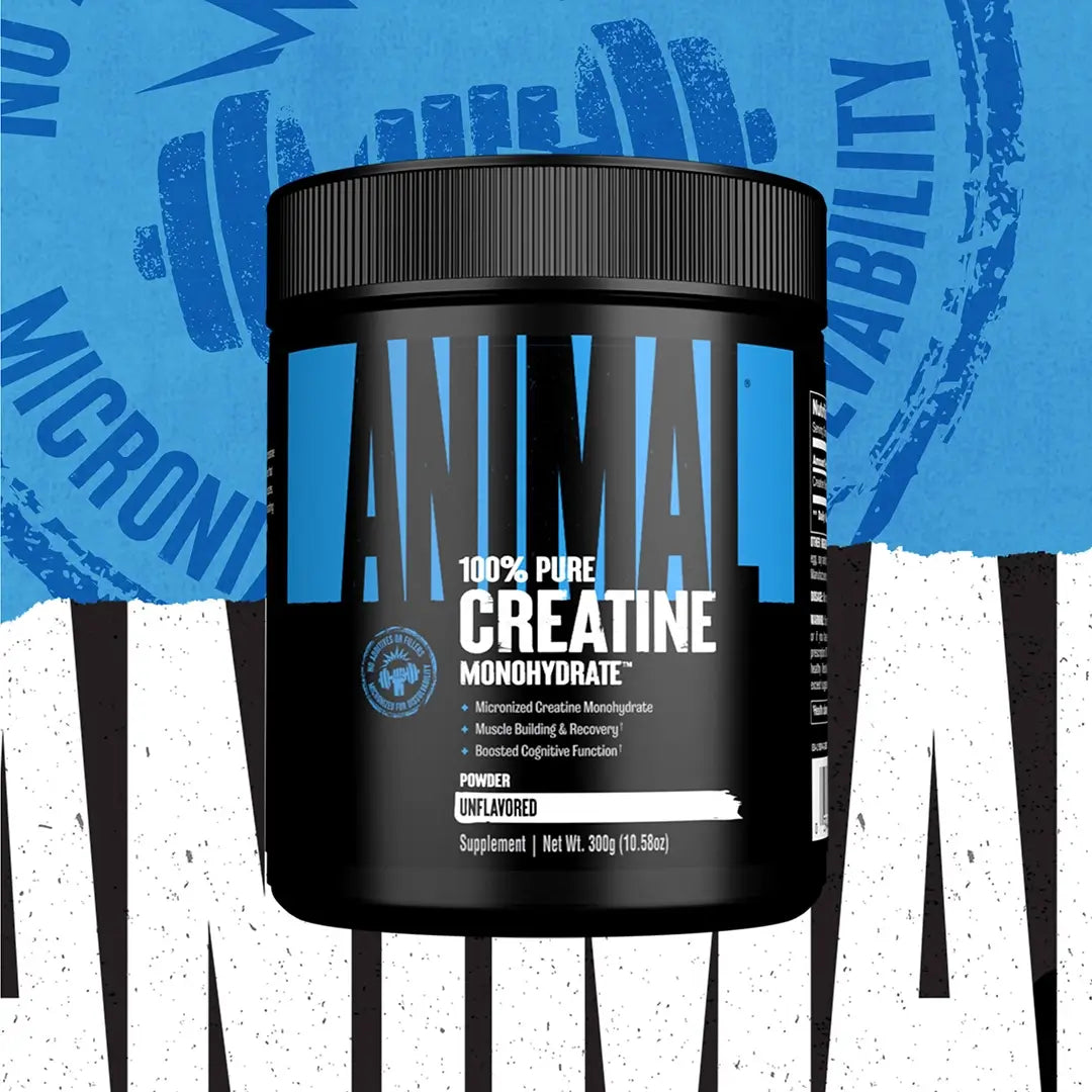 ANIMAL Micronised Creatine Powder | Pure Creatine Monohydrate | ANIMAL ...
